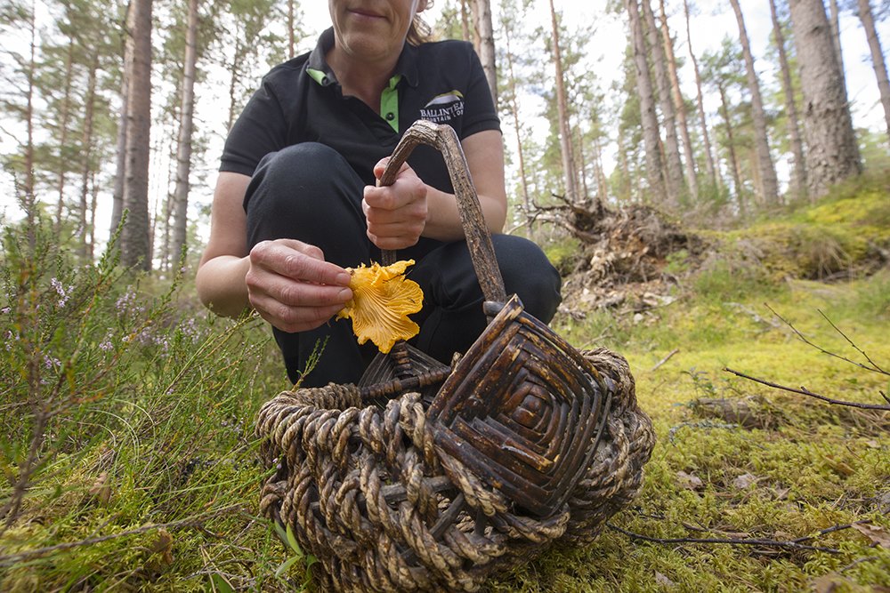 Rewilding by the people, for the people | Storytelling | SCOTLAND: The ...