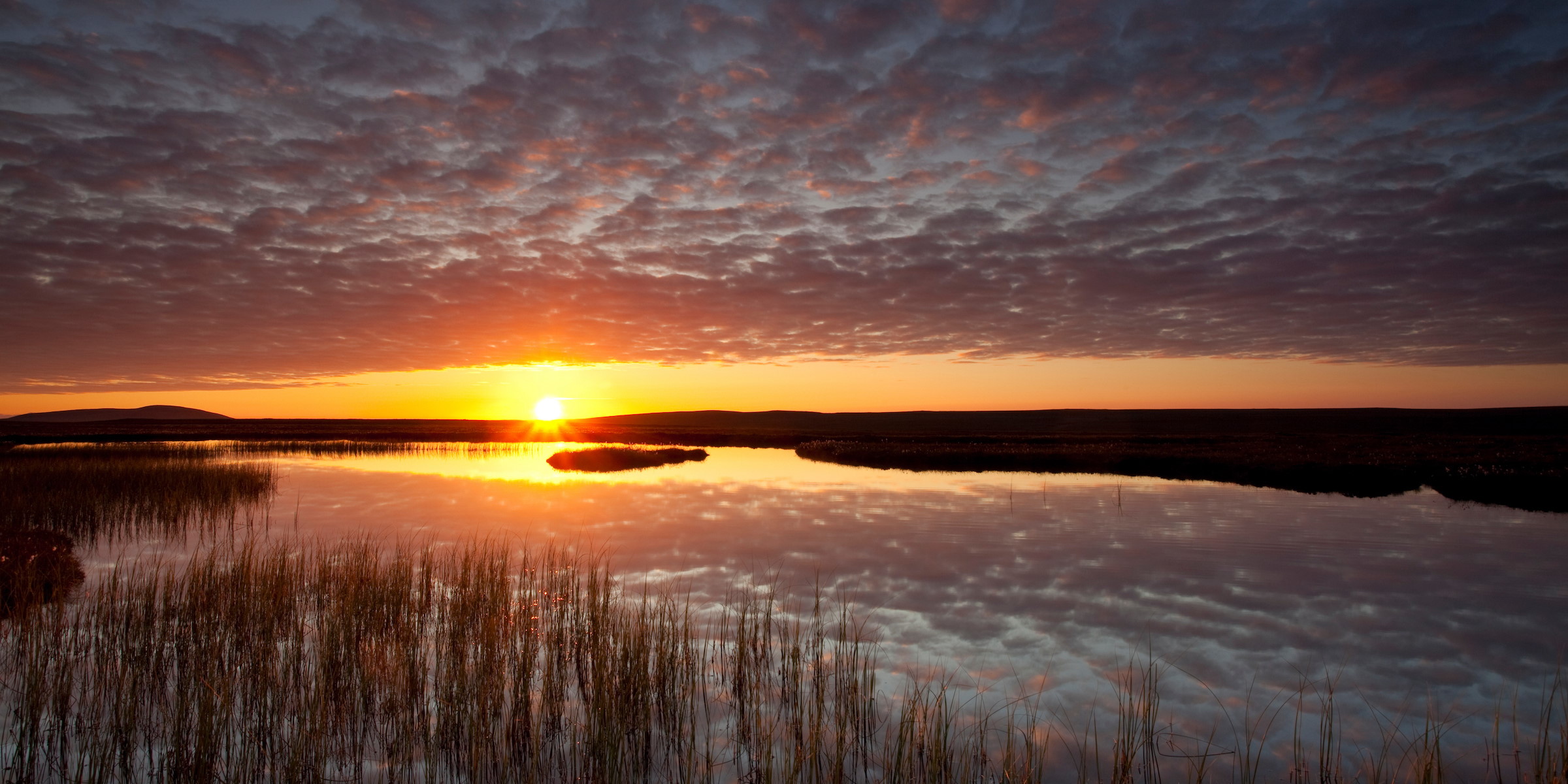 Rewilding for nature, climate and people | SCOTLAND: The Big Picture