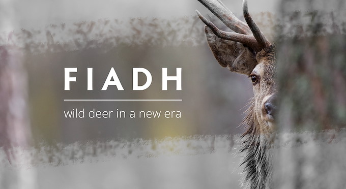 The Fiadh Project | SCOTLAND: The Big Picture