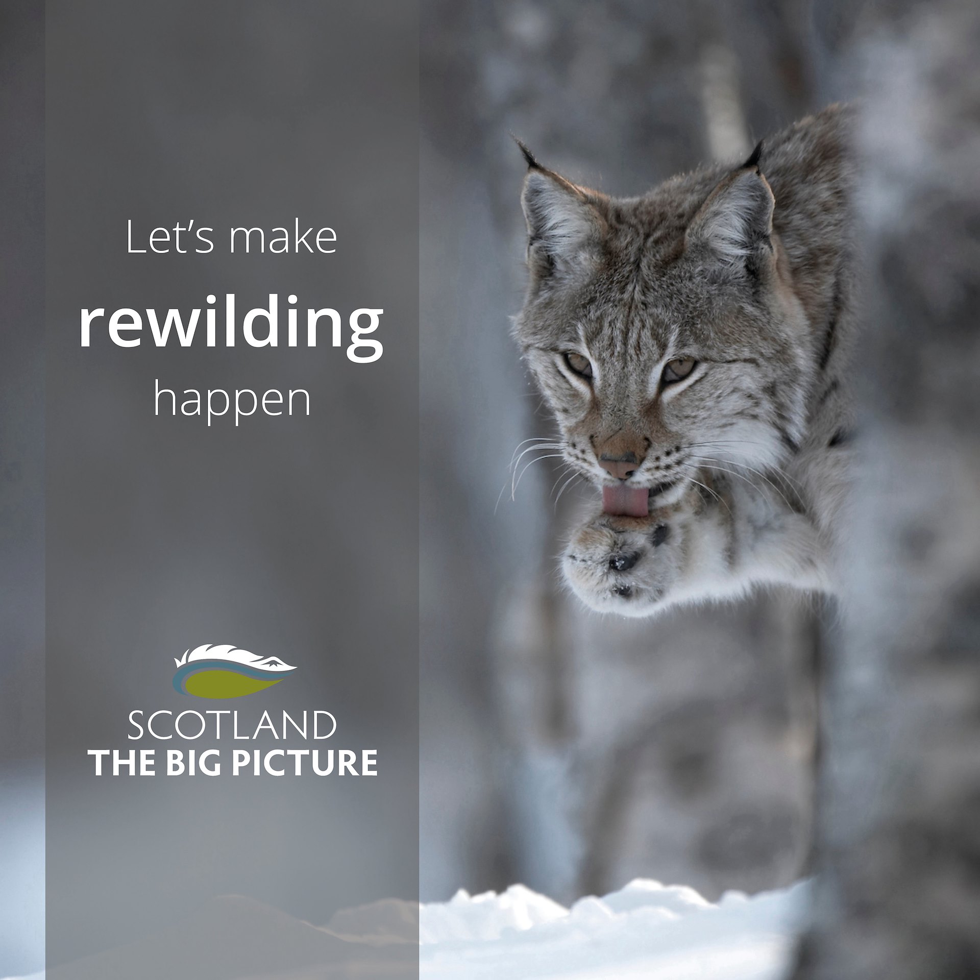 Social Media Toolkit | SCOTLAND: The Big Picture