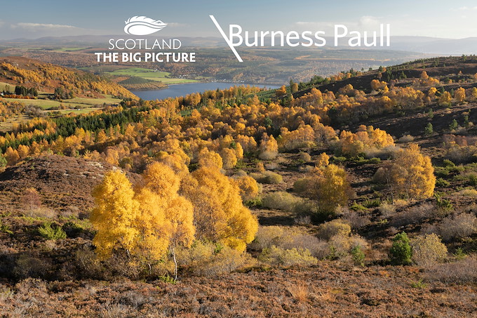 Burness Paull supports SCOTLAND: The Big Picture as Rewilding Business ...