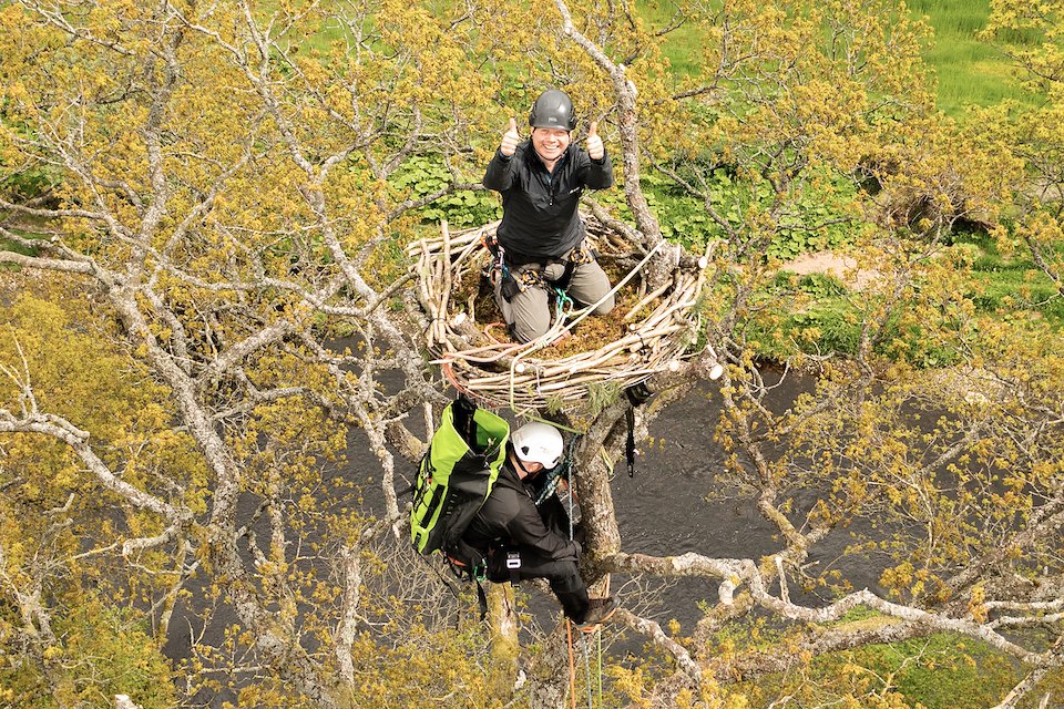 World Rewilding Day | 20 March 2025 | SCOTLAND: The Big Picture