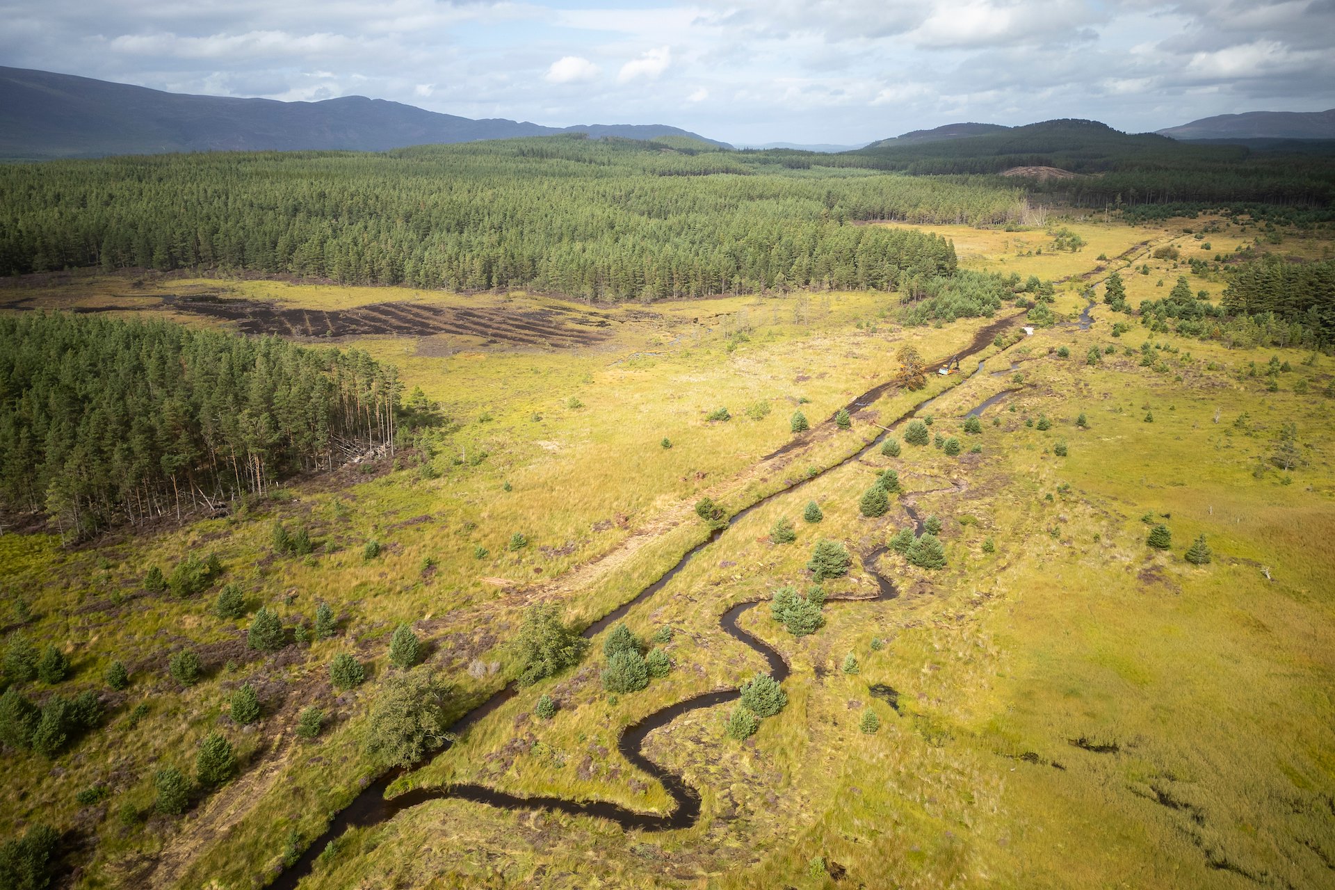 9 Ways to Rewild| SCOTLAND: The Big Picture