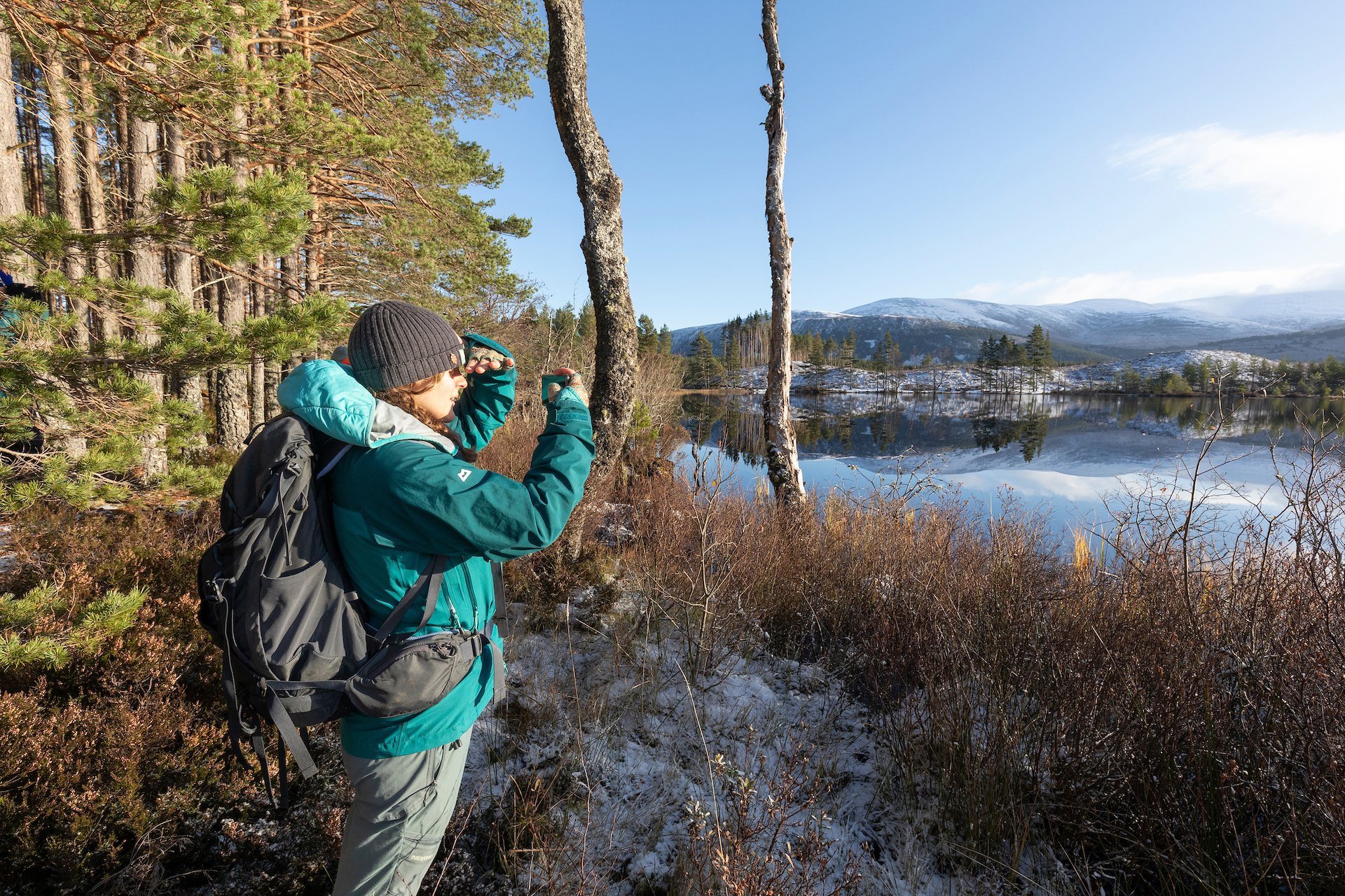 9 Ways to Rewild| SCOTLAND: The Big Picture